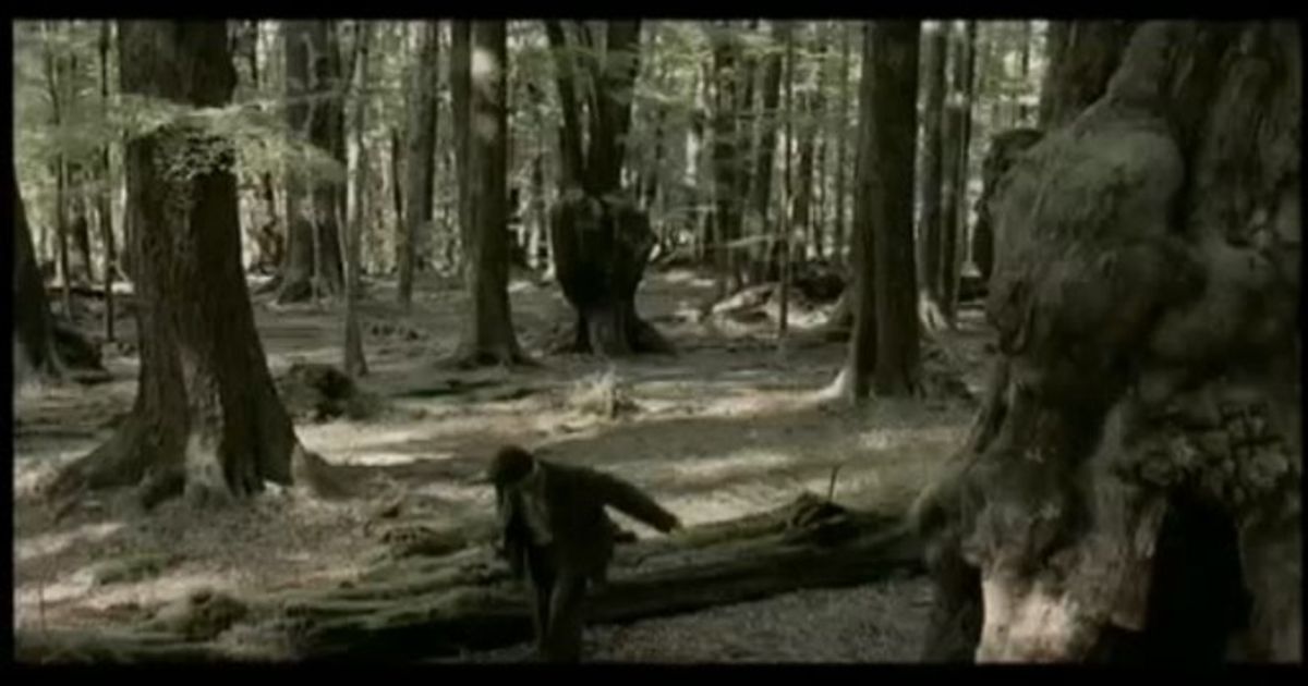 Toyota Prius: Donkey | shots Magazine